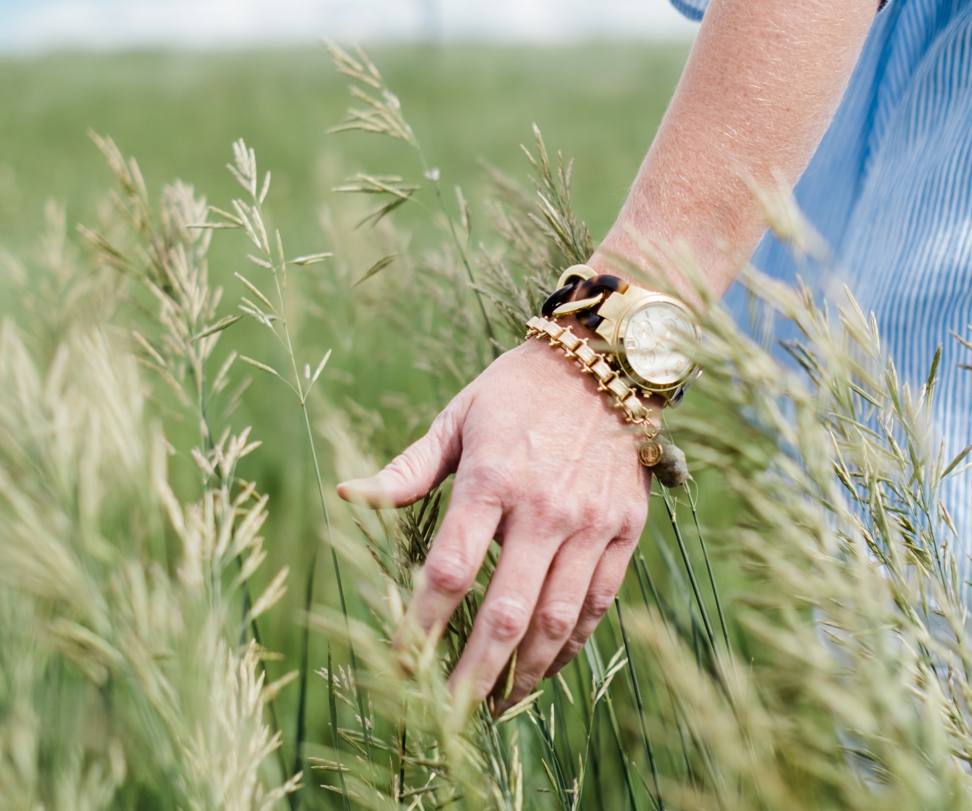 Modern Designs – TOA